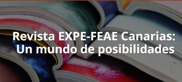 Revista EXPE Nº VI – La sostenibilidad. - FEAE Canarias
